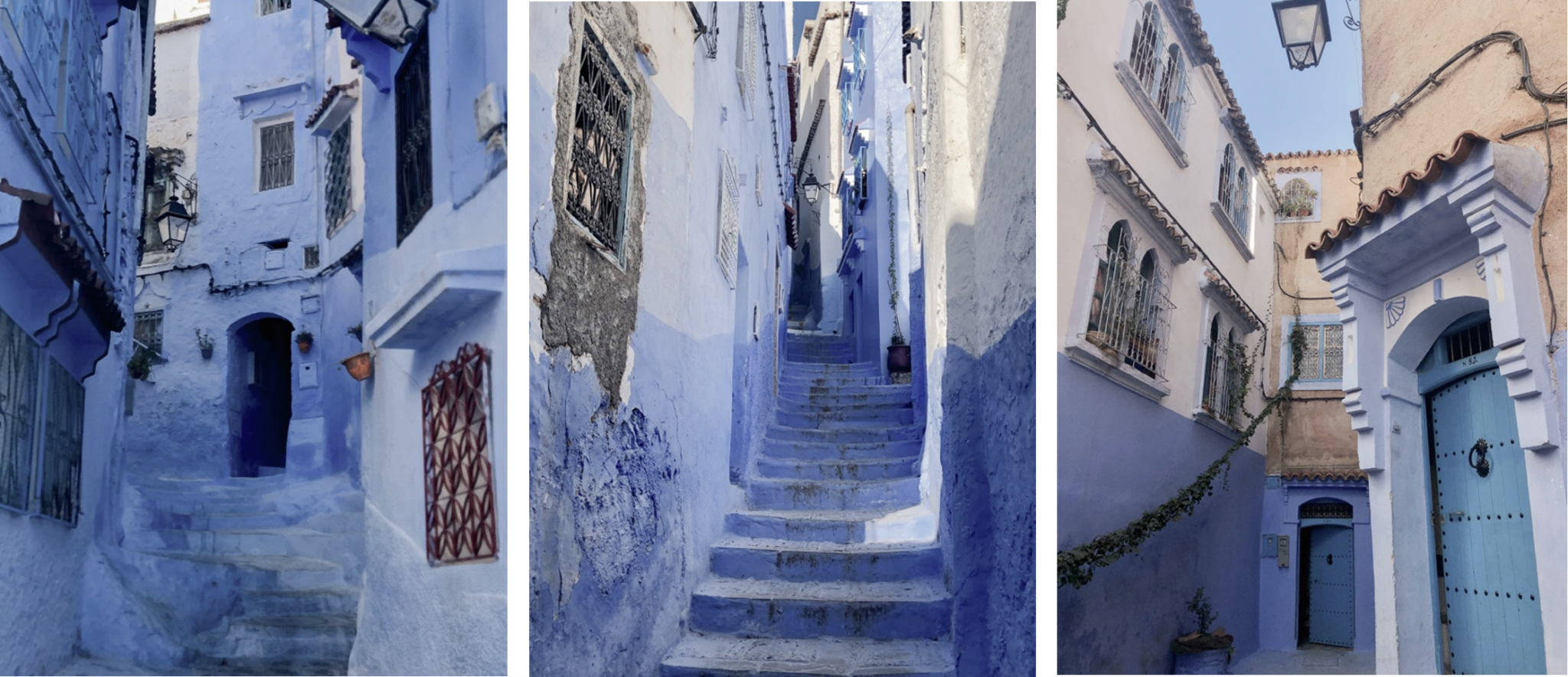 A Practical Guide to Visiting the Blue City : The Beyond Borders Collective